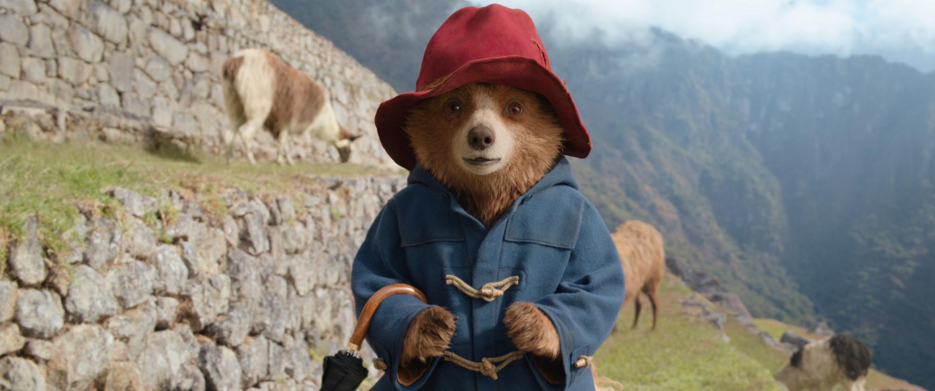 Paddington in Peru (2024) - Box Office and Financial Information